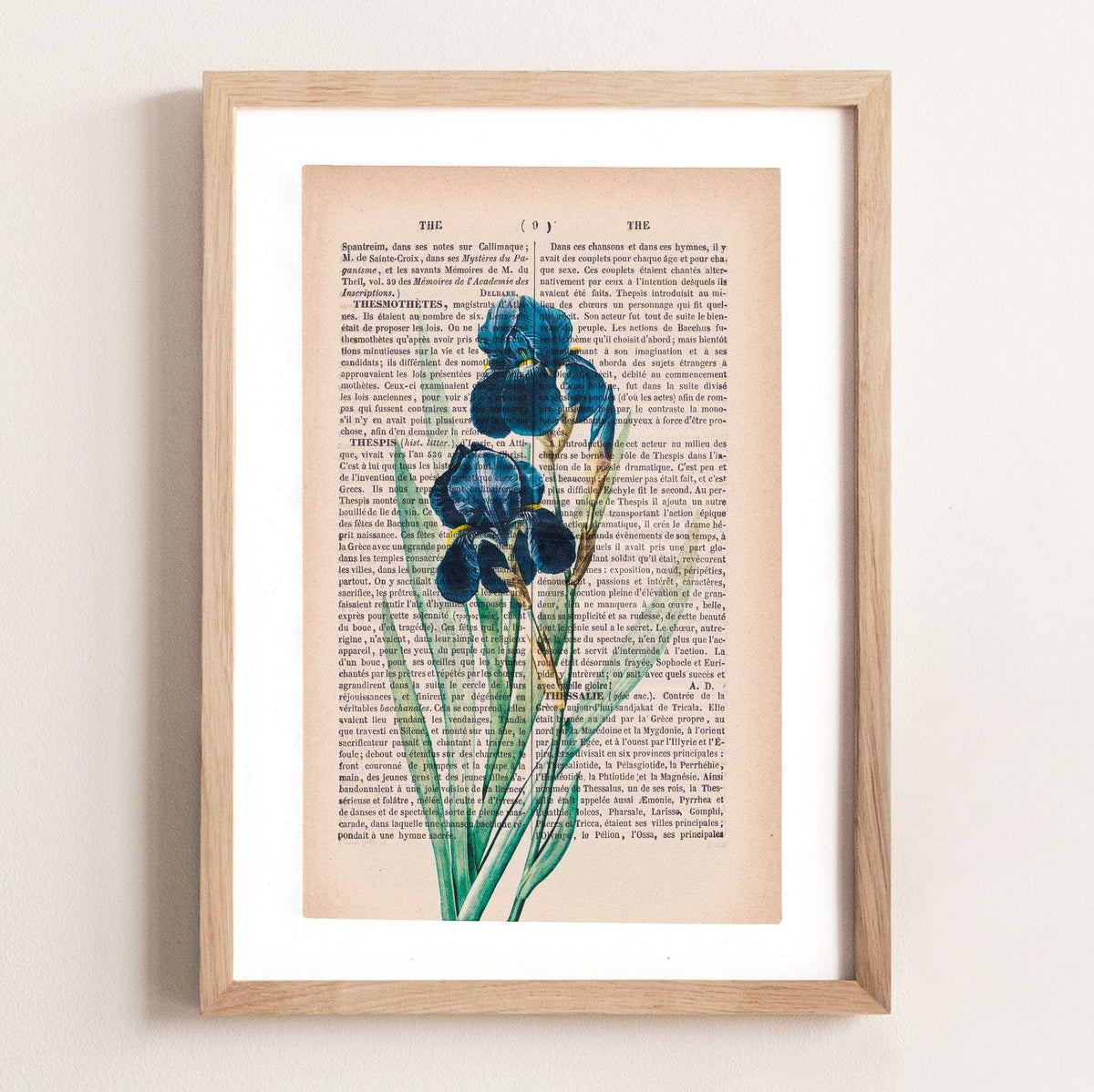 Iris - Vintage Book Page - Flower Art Print - Art on Words
